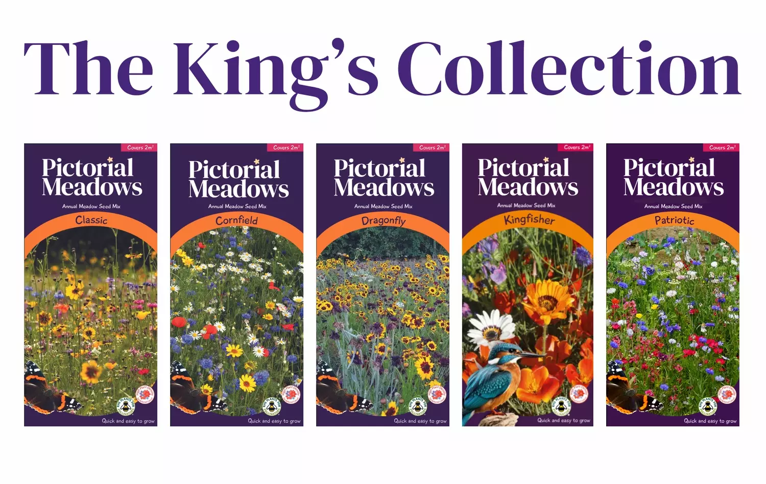 Annual Classic Pictorial Meadows Bulb Mix